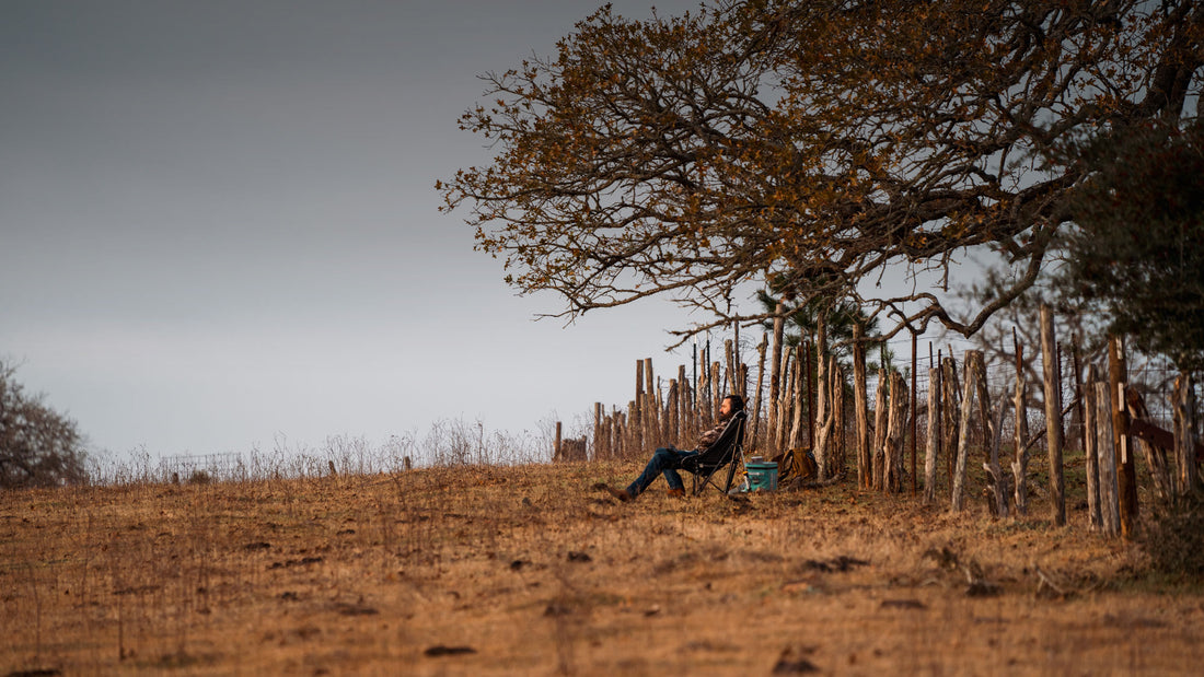 Chill Country Wholesale | All Organic Rosin-Pressed Edibles